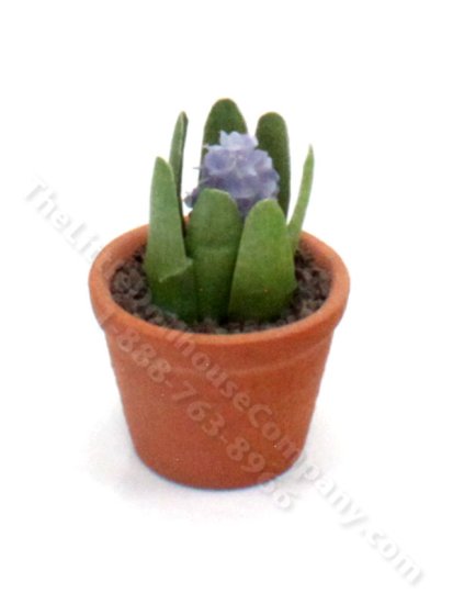 Miniature Potted Succulent by Barb Plevan [MJD 1035] | The Little ...