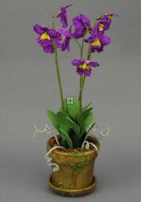 Miniature Fern in Pot [AFA 026] | The Little Dollhouse Company
