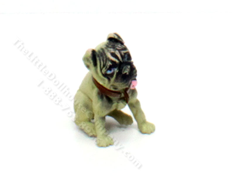 Miniature Pug for Dollhouses [MJD 1512] | The Little Dollhouse Company