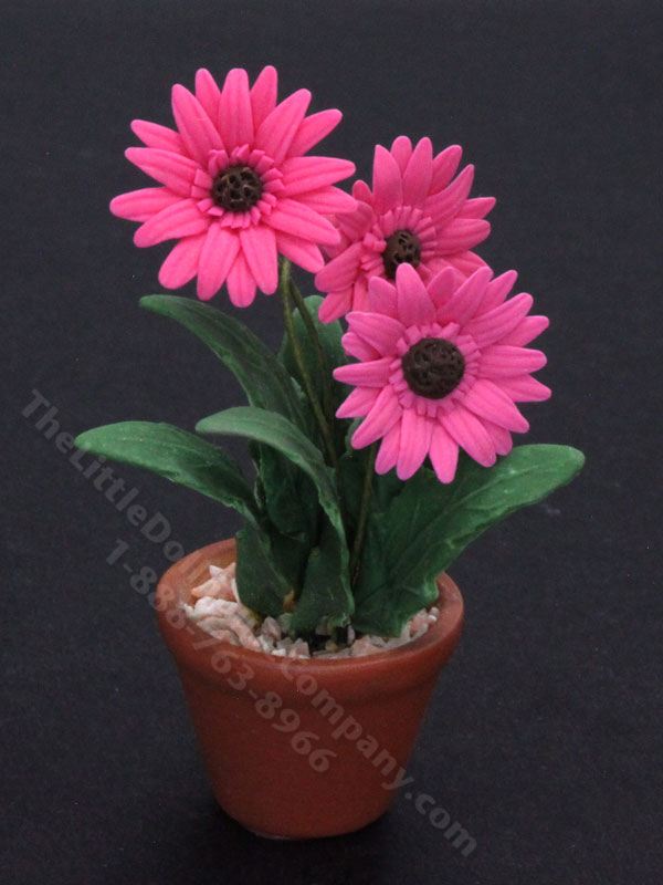 Miniature Gerber Daisies in a Terracotta Pot [LPD 037] | The Little ...