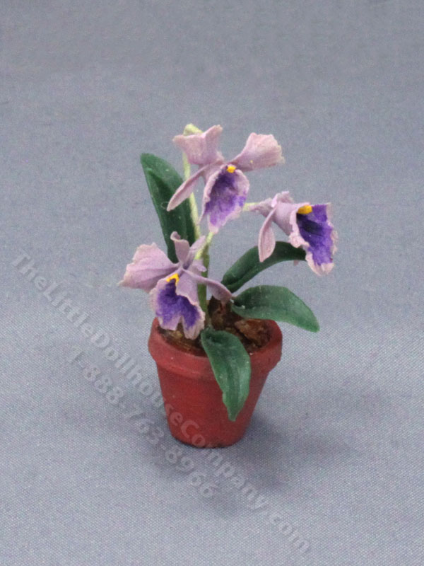 Miniature Purple Orchid Plant for Dollhouses [MJD 2892] | The Little ...