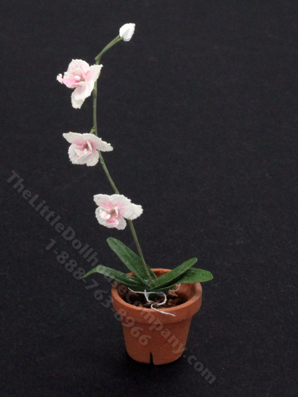 Miniature White Orchid Plant for Dollhouses [MJD 3201] | The Little ...
